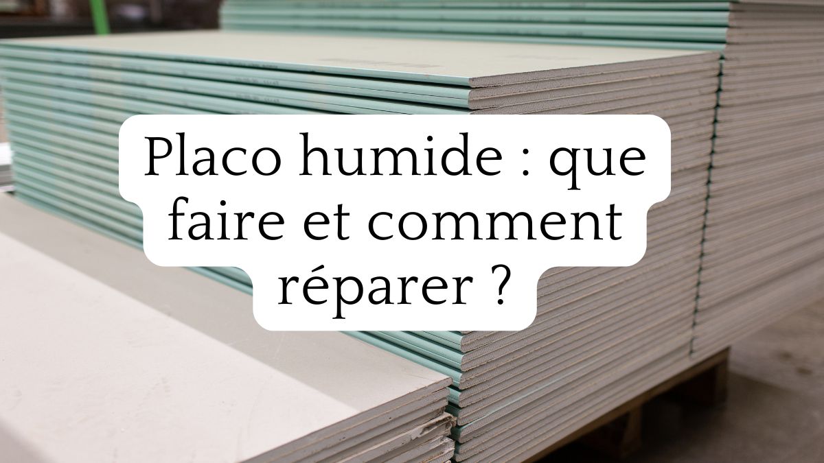Placo humide : que faire et comment réparer ? – La Cavalcade